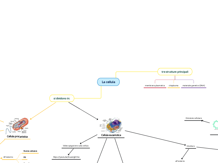 La cellula - Mind Map
